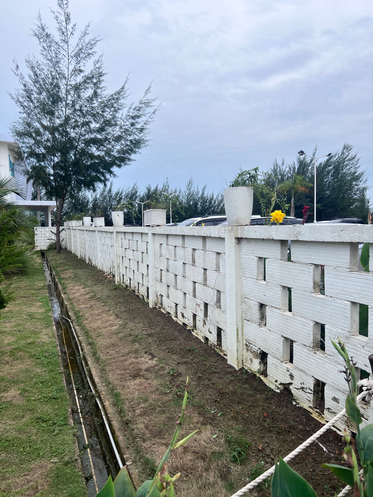 PT. Banian Indo Global